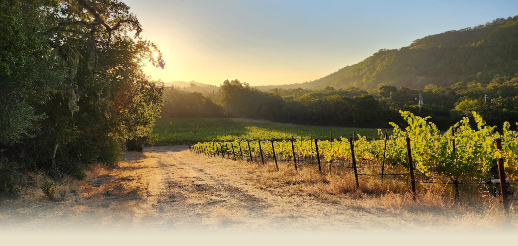Carter House Cellars at Lion Oaks Ranch - Private Winery & Homesteading ...